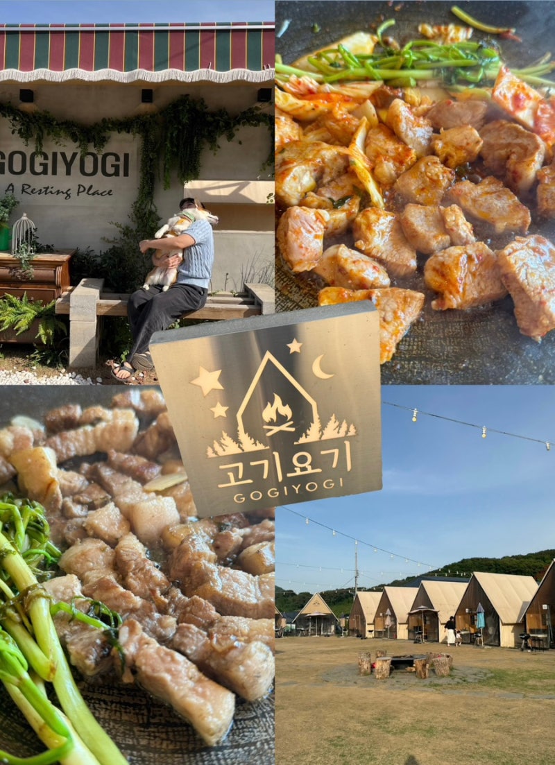 애견동반식당 애견 운동장이 있는 셀프 바베큐장 원곡 맛집 고기요기 안성 네이버 블로그