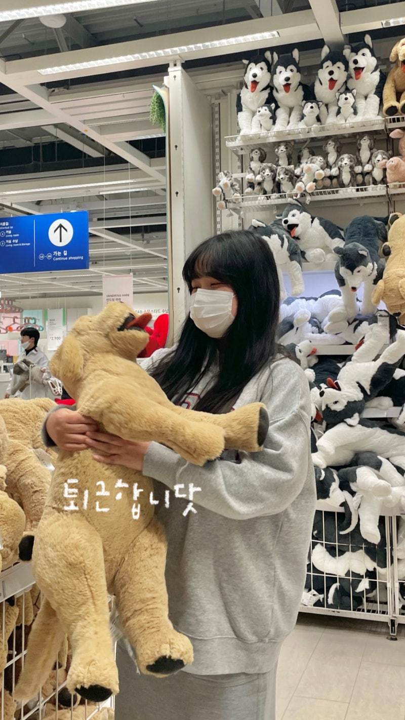 인스타 스토리 연필스티커 Feat 손글씨 네이버 블로그