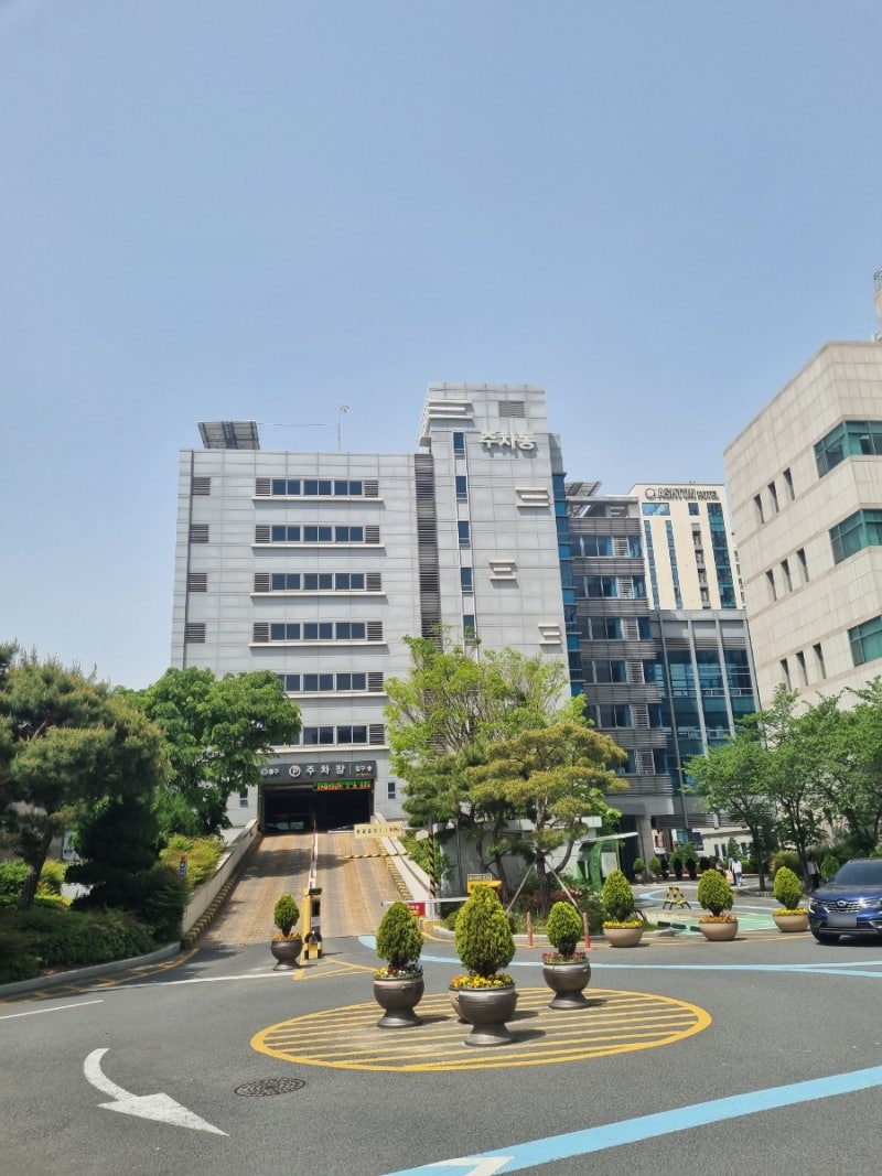 울산 시청 주차장 무료 주차 층별 안내 청사 배치 지도 할인 정보 네이버 블로그