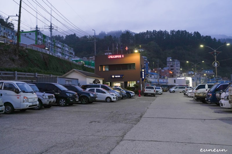 울릉도 독도새우 맛집 천금수산 가격 종류 솔직후기 네이버 블로그