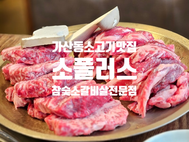 가산동소고기맛집 참숯소갈비살전문점 소플러스에서 가족외식했어요 어버이날식사 장소추천 직장인회식 추천 네이버 블로그