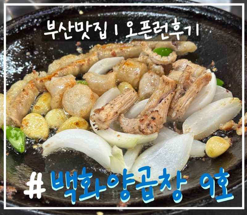 부산 백화양곱창 9호점 오픈런 솔직후기 부산양곱창 전현무계획 네이버 블로그