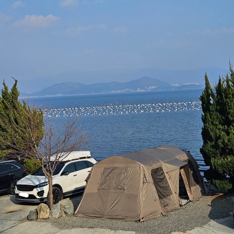마산 바다앞 안녕오토캠핑장 리뷰 네이버 블로그