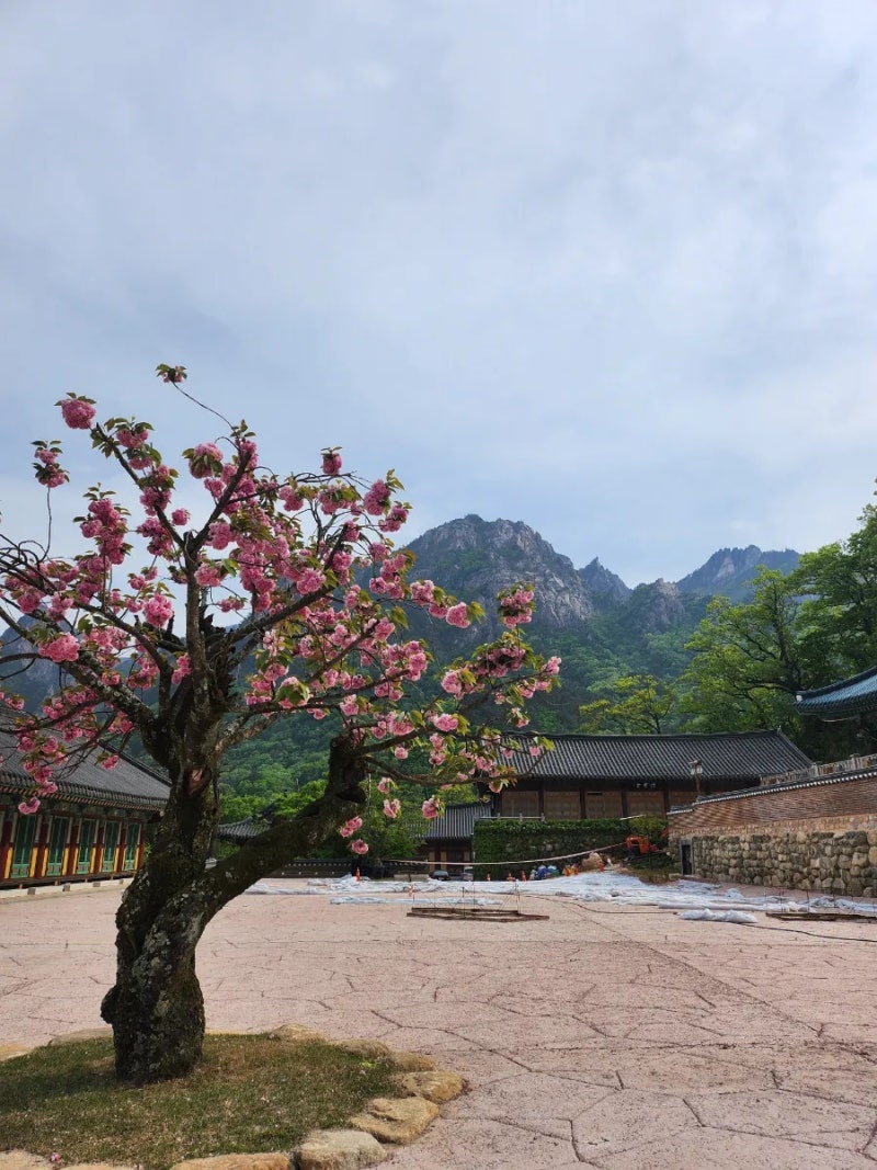 속초 설악산 흔들바위 코스 Ft울산바위 계조암석굴 네이버 블로그