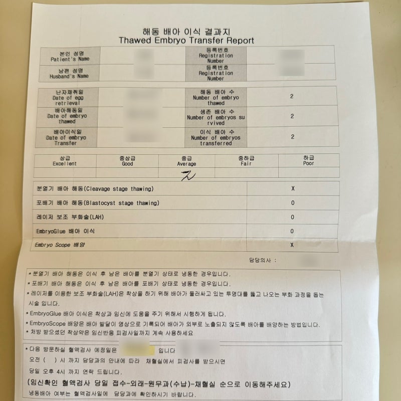 시험관 동결 1차 5일 배양 이식 증상운동식사크녹산프롤루텍스 네이버 블로그