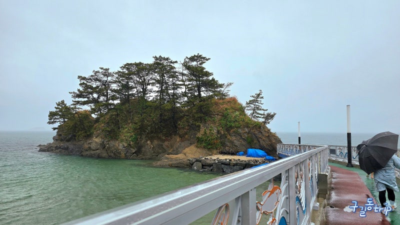 충남보령 무창포 가볼만한곳 무창포해수욕장 놀거리 네이버 블로그
