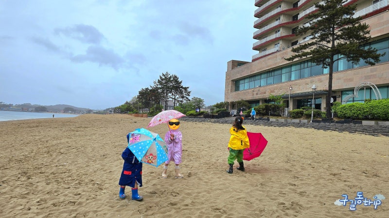 충남보령 무창포 가볼만한곳 무창포해수욕장 놀거리 네이버 블로그