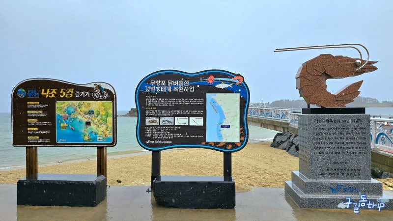 충남보령 무창포 가볼만한곳 무창포해수욕장 놀거리 네이버 블로그