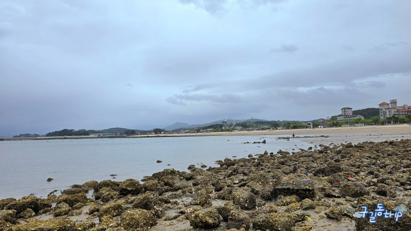 충남보령 무창포 가볼만한곳 무창포해수욕장 놀거리 네이버 블로그