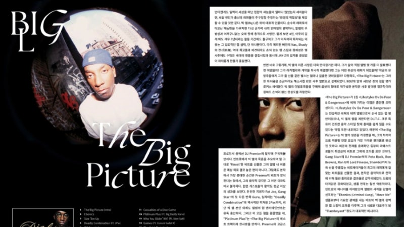Big L - The Big Picture(2000) 리뷰 - 국외 힙합 - 힙합엘이 | HIPHOPLE.com