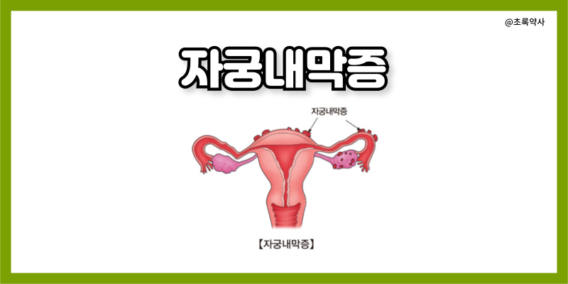 비잔정디에노게스트미분화 복용법 주의사항 부작용 피임 술 Ft 생리 부정출혈 네이버 블로그