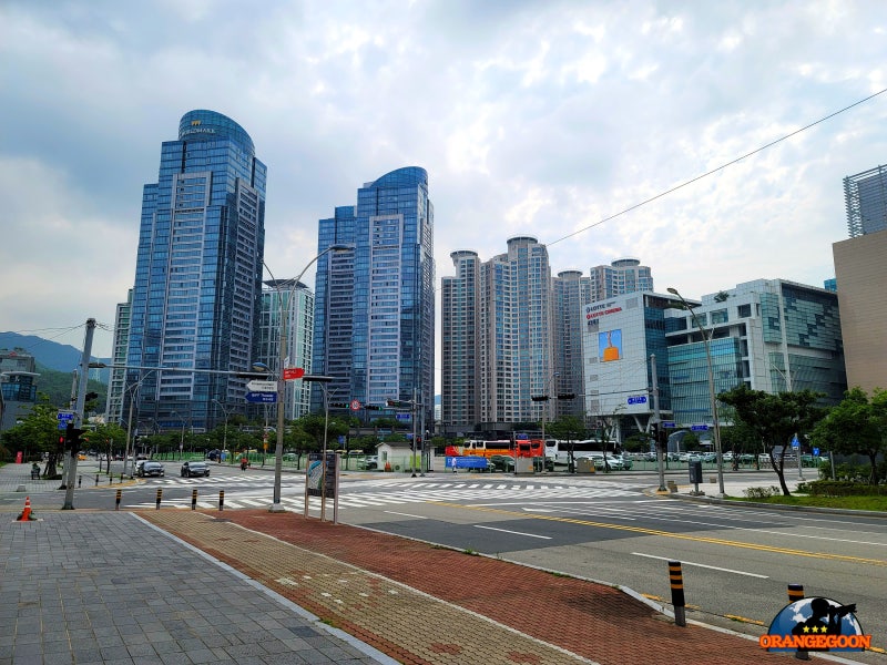 부산 해운대구 해운대구 여행 4 새로운 부산의 이미지를 만들어가는 수영강변의 신도 네이버 블로그