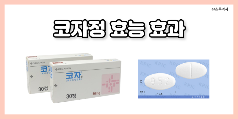 코자정 50mg 혈압약 효능 효과 부작용 주의사항 임산부 Ft 단백뇨 네이버 블로그