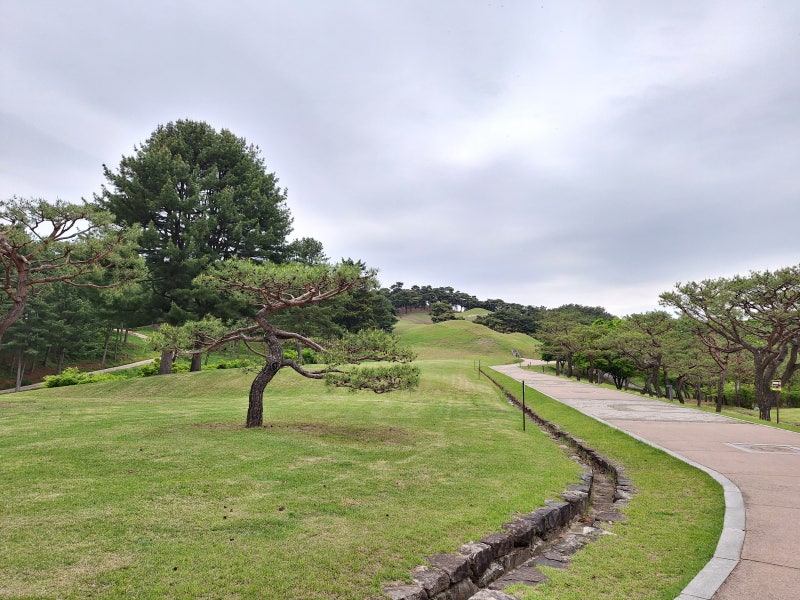 공주 무령왕릉과 왕릉원 1500년 전 백제의 역사를 일깨워준 발견 웅진백제역사관 입장료 등 관람정보 네이버 블로그