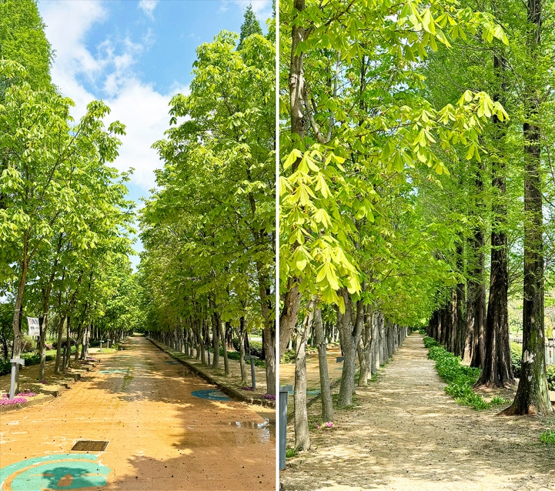 경북 천년 숲 정원 경주 가볼 만한 곳 경주 여행 추천 네이버 블로그