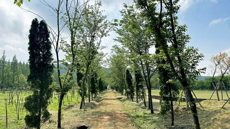 경북 천년 숲 정원 경주 가볼 만한 곳 경주 여행 추천 네이버 블로그