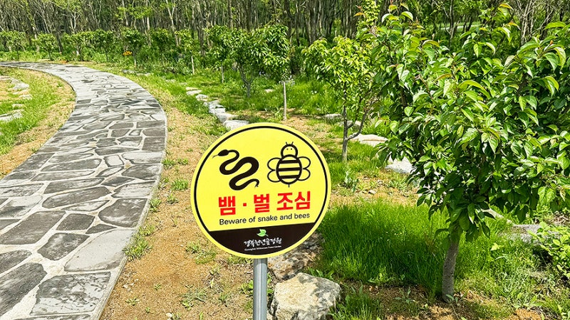 경북 천년 숲 정원 경주 가볼 만한 곳 경주 여행 추천 네이버 블로그