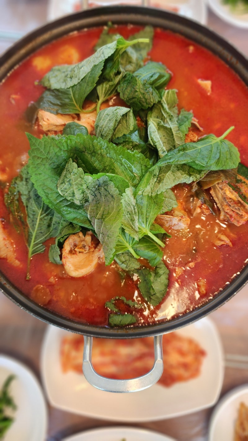 대전 근교 동학사 갑사 근처 토종닭볶음탕 And 백숙 맛집 산구름가든 네이버 블로그