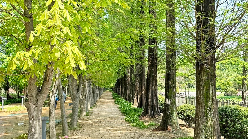 경북 천년 숲 정원 경주 가볼 만한 곳 경주 여행 추천 네이버 블로그