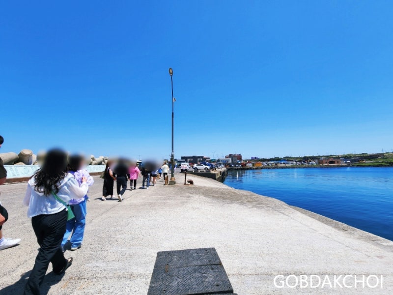 제주도 우도 배시간 총정리 가격 및 타는곳 성산항 종달항 비교 소요시간 네이버 블로그