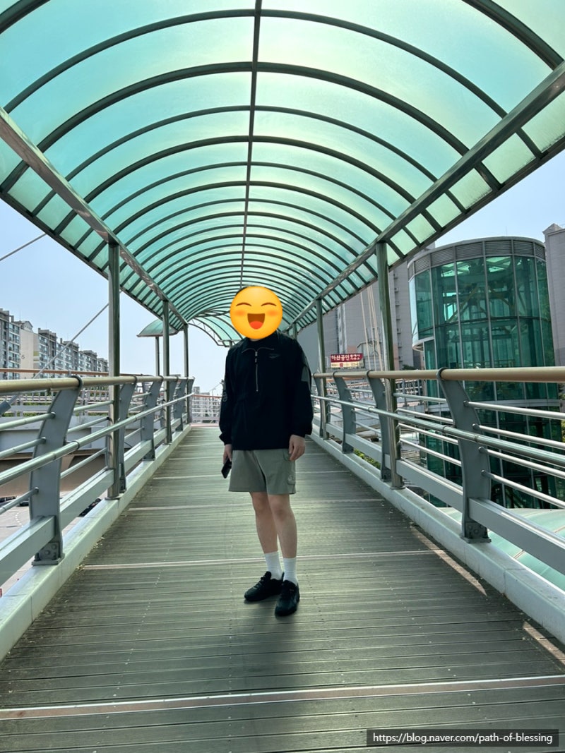 내돈내산 20대 30대 남자선물 카고 쇼츠 반바지 착용 사이즈 노르디스크 리뷰 네이버 블로그