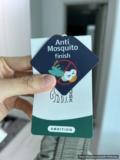 내돈내산 20대 30대 남자선물 카고 쇼츠 반바지 착용 사이즈 노르디스크 리뷰 네이버 블로그