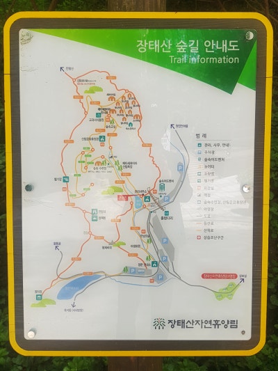 장태산자연휴양림 메타세쿼이아 산림욕장 출렁다리 숲속어드벤처 대전 명소 가볼만한 곳 네이버 블로그