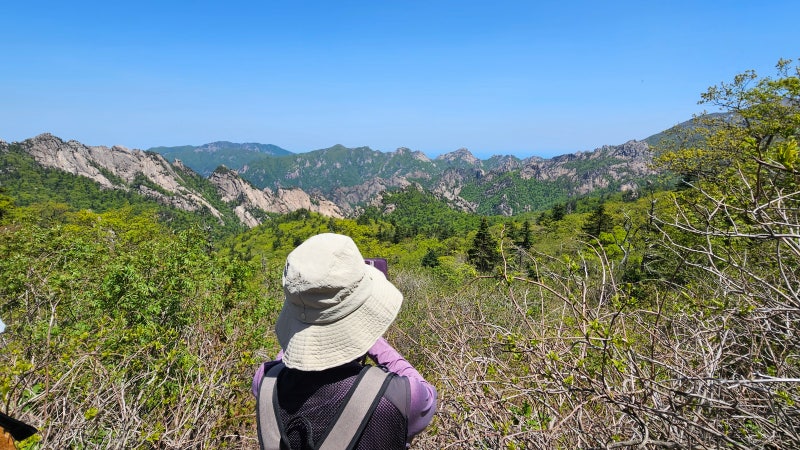518 산방 풀린 첫 주말 설악산 한계령 ~ 대청봉 ~ 오색 135km1137m 네이버 블로그
