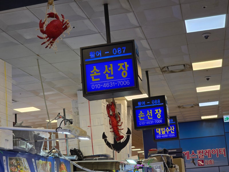 한강공원 피크닉 노량진수산시장 맛집 손선장 회포장 추천 봄도다리 세꼬시 모둠회 네이버 블로그