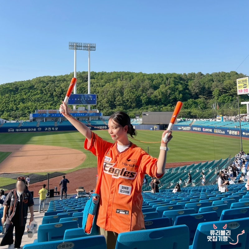 대구 삼성라이온즈파크 예매 먹거리 주차장 원정응원단석 직관 좌석 시야 네이버 블로그