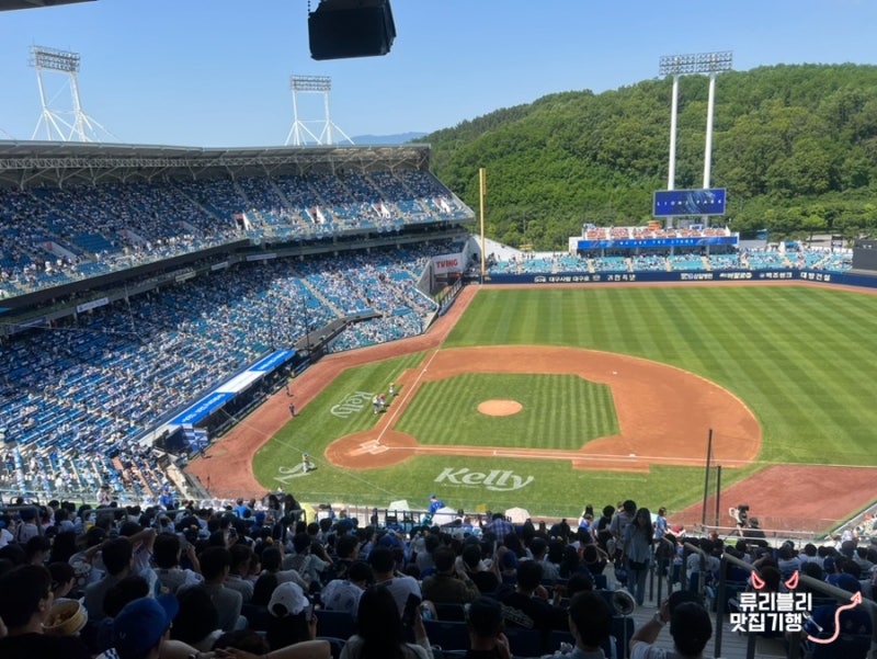 대구 삼성라이온즈파크 예매 먹거리 주차장 원정응원단석 직관 좌석 시야 네이버 블로그