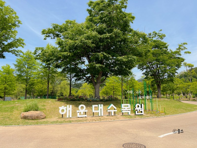 부산 해운대수목원 볼거리 장미 카트 예약 꿀팁 네이버 블로그