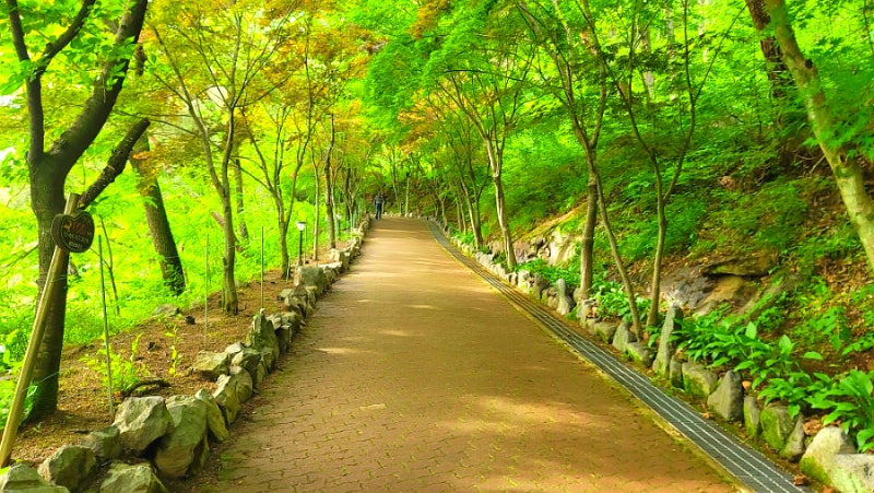 함안 입곡군립공원 관광 가이드 단풍길 산책부터 아찔한 출렁다리아라힐링카페 사이클 무빙보트까지 네이버 블로그
