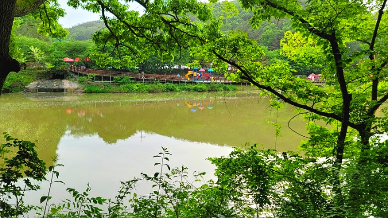 함안 입곡군립공원 관광 가이드 단풍길 산책부터 아찔한 출렁다리아라힐링카페 사이클 무빙보트까지 네이버 블로그