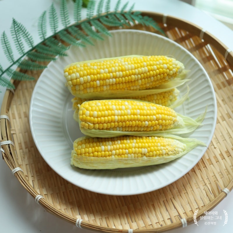 제철 초당옥수수 찌기 삶기 초당옥수수 전자레인지 찌는법 먹는법 보관법 네이버 블로그