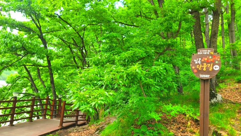 함안 입곡군립공원 관광 가이드 단풍길 산책부터 아찔한 출렁다리아라힐링카페 사이클 무빙보트까지 네이버 블로그