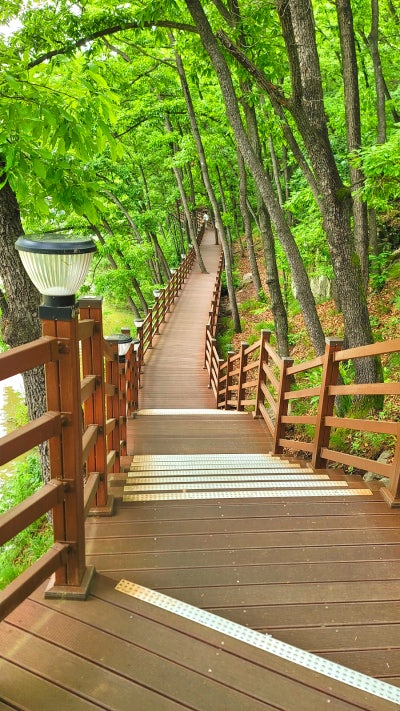 함안 입곡군립공원 관광 가이드 단풍길 산책부터 아찔한 출렁다리아라힐링카페 사이클 무빙보트까지 네이버 블로그