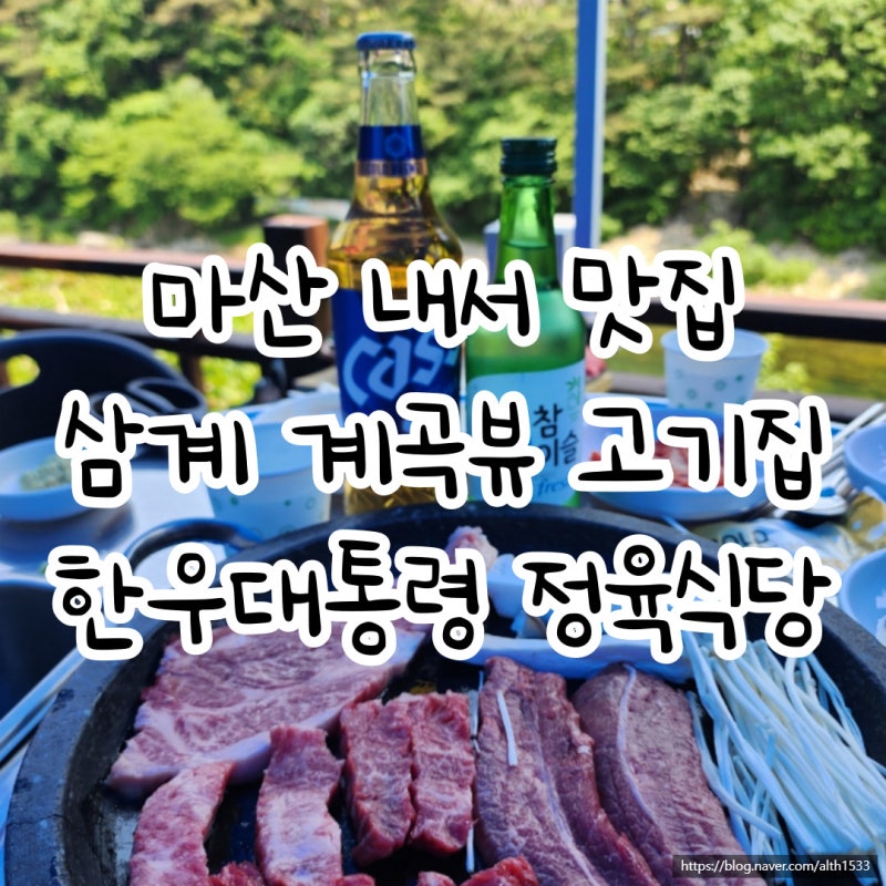 마산 삼계 맛집 마산 계곡뷰 야외 고기집 한우대통령정육식당 네이버 블로그