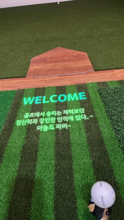 프렌즈스크린 퀀텀q 스크린골프 사용 후기 카카오vx 필드 현장감 극대화 네이버 블로그