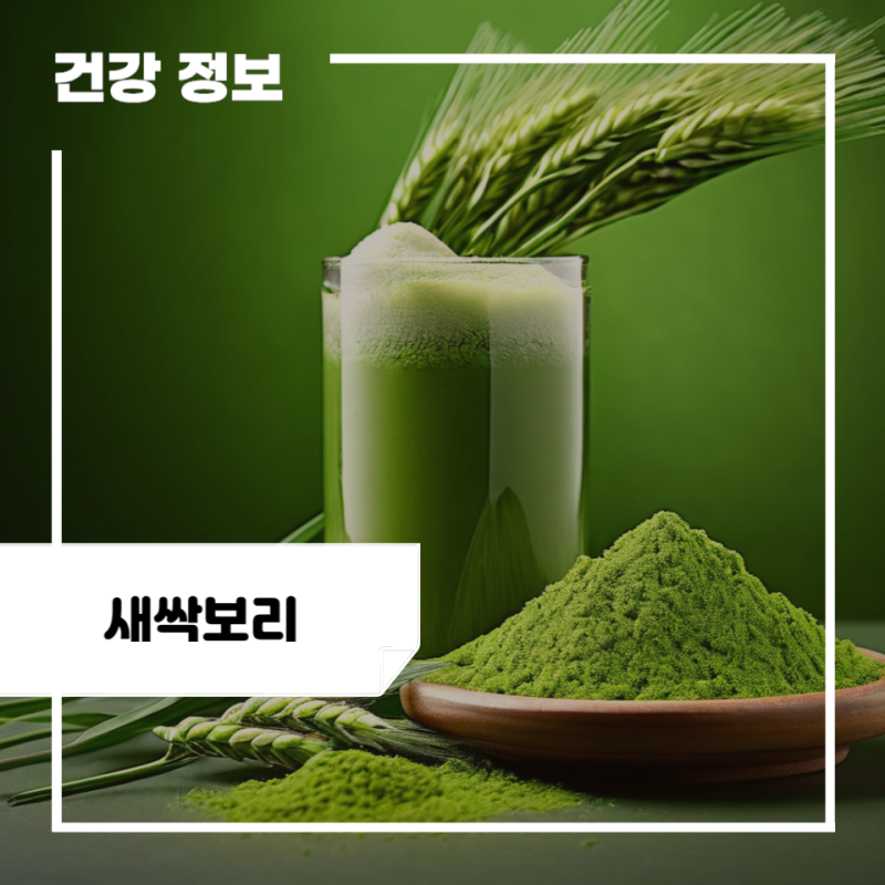 새싹보리 효능 5가지 분말 먹는법 섭취량 콜레스테롤 당뇨 예방 네이버 블로그
