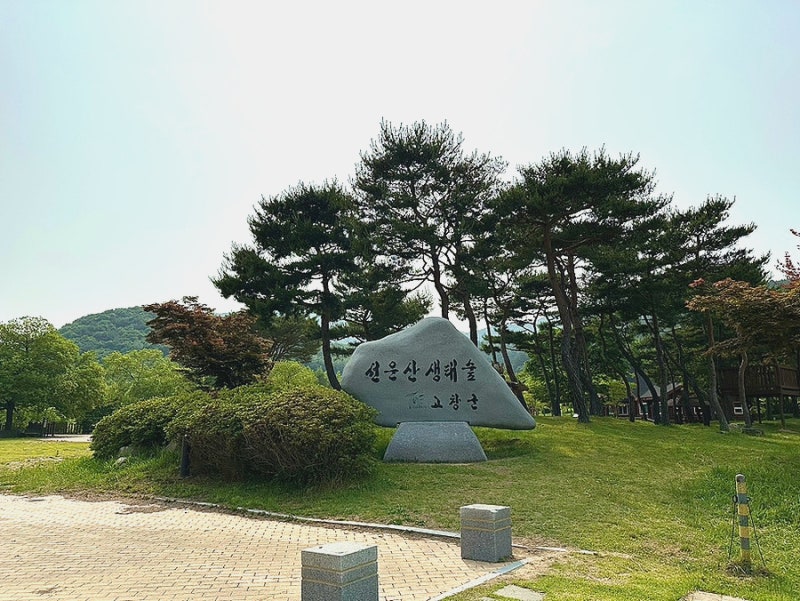 전북 고창 가볼만한곳 선운산 도립공원 생태숲 꽃무릇 여행지 추천 네이버 블로그
