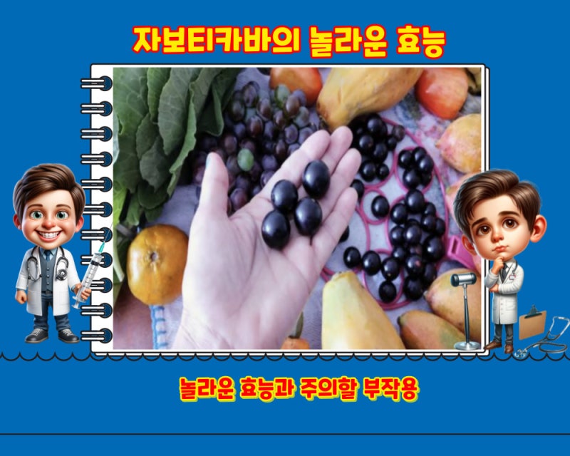 자보티카바 효능 쥬스 구입방법 자보티카바 묘목 구하는 방법