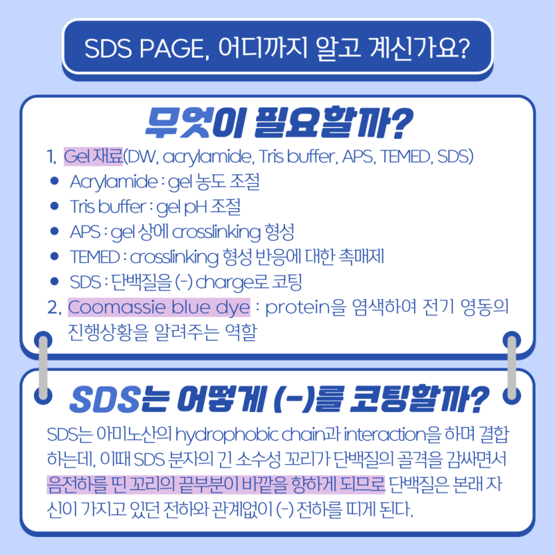 (A부터 Z까지) SDS PAGE 편 : 네이버 블로그