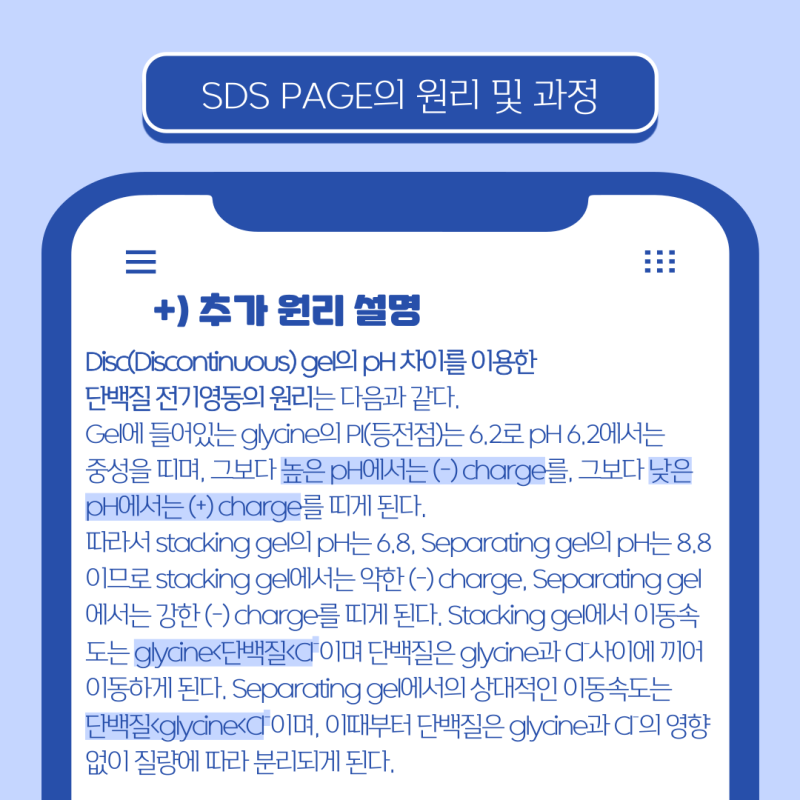 (A부터 Z까지) SDS PAGE 편 : 네이버 블로그