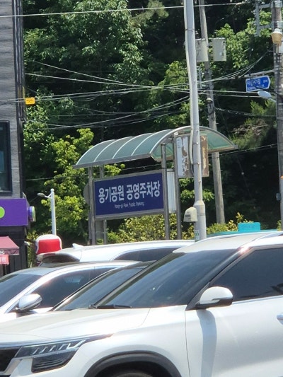 여수맛집 경도회관 여천점 갯장어 하모 샤브샤브 풀코스 경도프리미엄 메뉴 후기 네이버 블로그