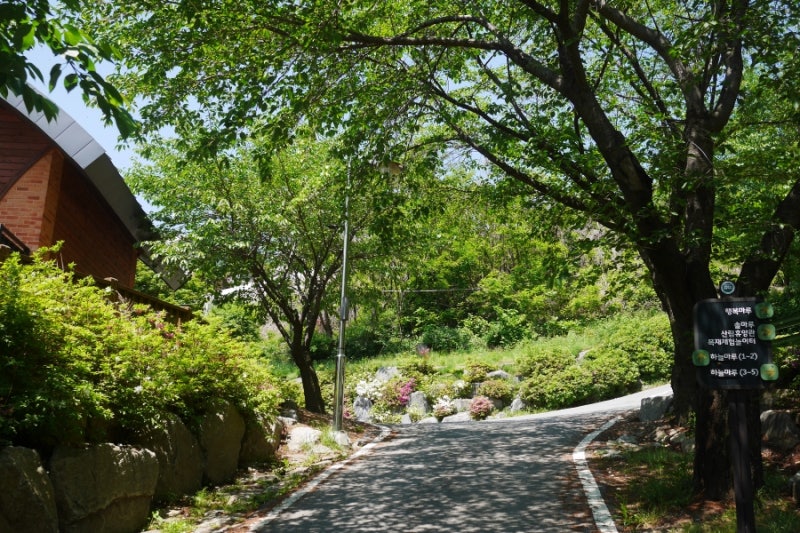 숲나들e로는 알 수 없는 경기 양평 백운봉자연휴양림구 용문산자연휴양림 14 네이버 블로그