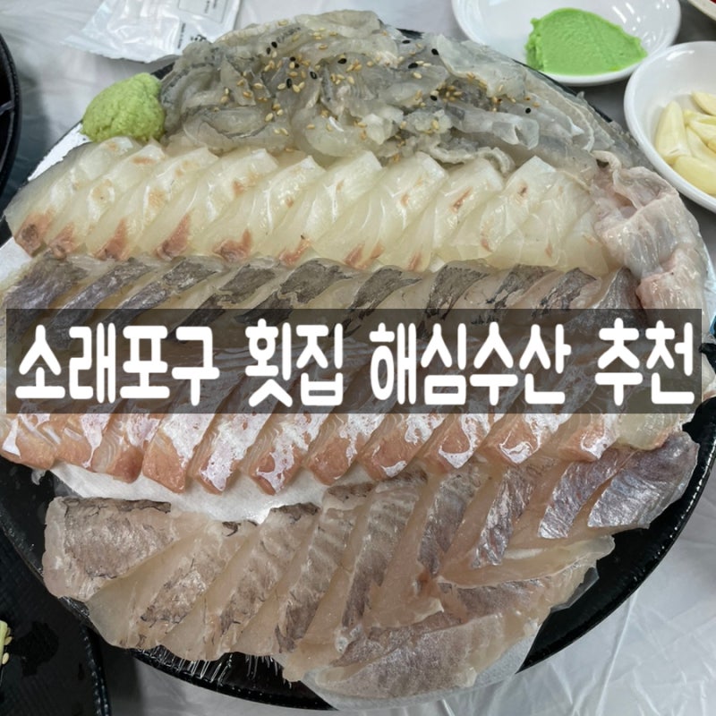 인천 소래포구 횟집 해심수산 종합어시장 초장집 세자매집 추천 후기 네이버 블로그