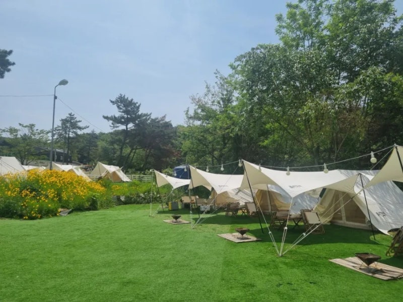 주말 아이랑 어메이징 캠프 울산점 네이버 블로그