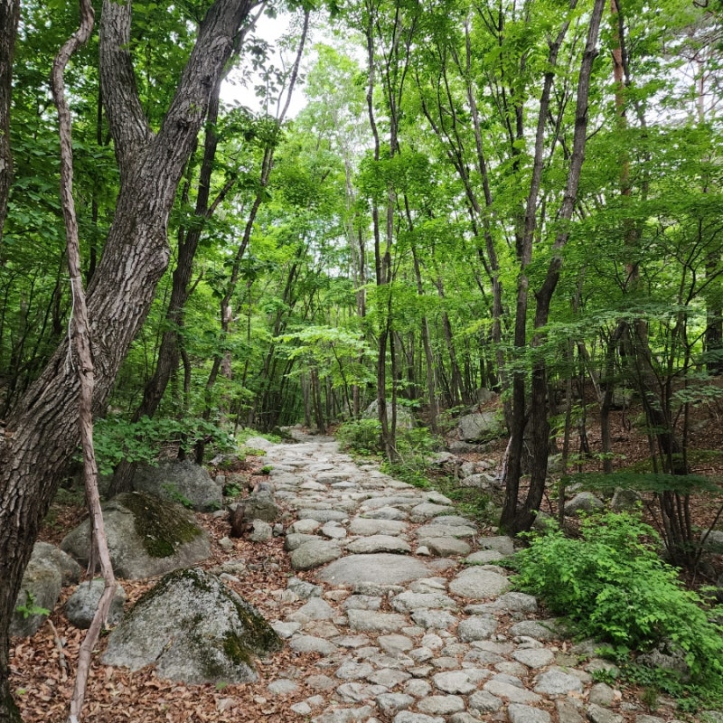 설악산 대청봉 최단 코스 오색~한계령 소요시간 주차 등산 솔직후기 네이버 블로그
