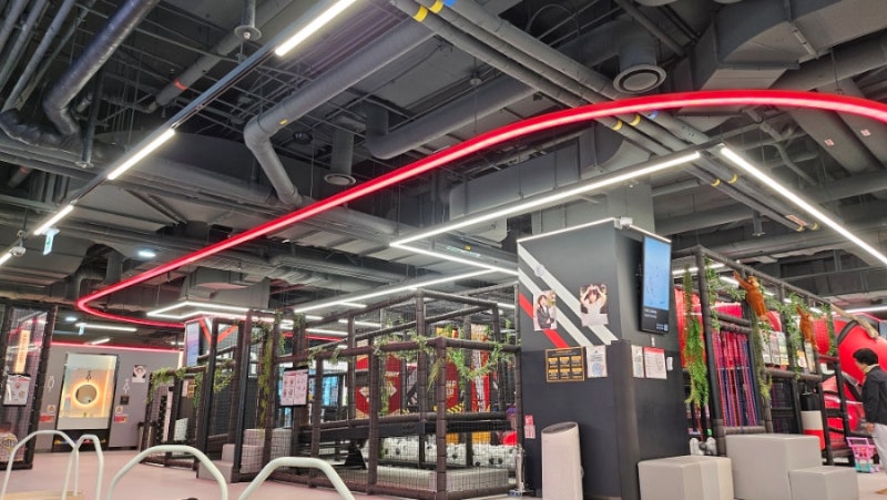 챔피언 더 블랙벨트 코엑스 강남 아이와 가볼만한 곳 네이버 블로그